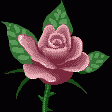Rose @ PixelJoint.com