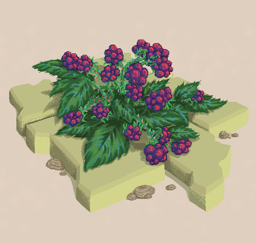 bush in pavement @ PixelJoint.com