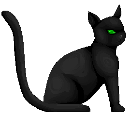Black cat @ PixelJoint.com