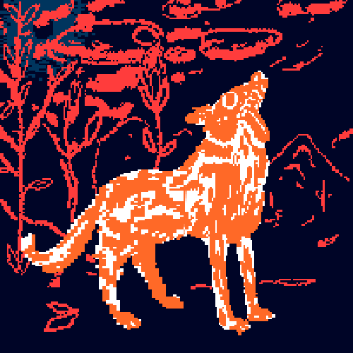 coyote @ PixelJoint.com