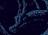 dragon nightsky @ PixelJoint.com