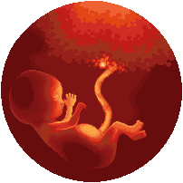 little world @ PixelJoint.com