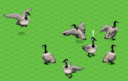 Gooses @ PixelJoint.com