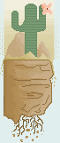 Floatin' cactus @ PixelJoint.com