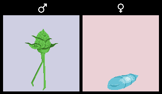 Plant/Insect @ PixelJoint.com