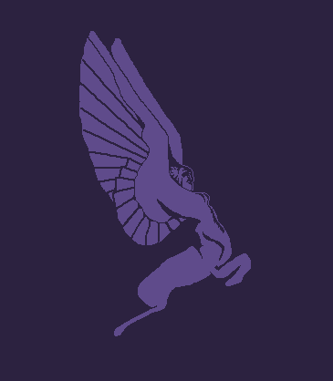 Night Fly @ PixelJoint.com