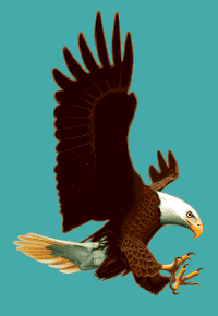 Eagle @ PixelJoint.com