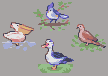 Simply Birds @ PixelJoint.com