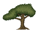 My first tree @ PixelJoint.com