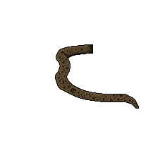 Tentacle @ PixelJoint.com