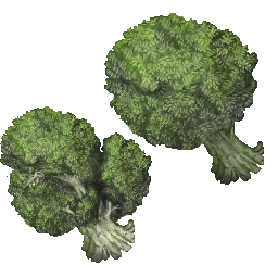 Tree studies @ PixelJoint.com