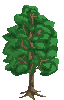 Tree @ PixelJoint.com
