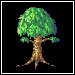 Small Tree @ PixelJoint.com
