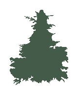 fir @ PixelJoint.com