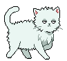 gin cat @ PixelJoint.com