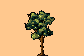 Tree Attempt @ PixelJoint.com