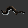 Eel @ PixelJoint.com