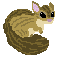 squirrel- icon @ PixelJoint.com